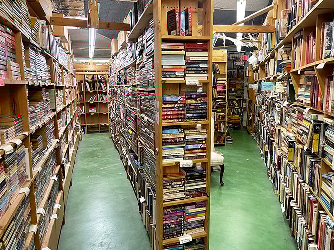 "Down the rabbit hole we go!" Alice had Wonderland, but book lovers have this magical corridor of literary delights.