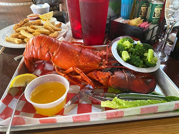 Holy crustacean! This lobster is the Godzilla of seafood, ready to star in its own blockbuster on your taste buds. Photo credit: Ava Sakowski