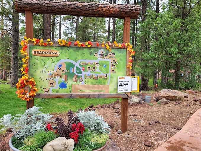 Your roadmap to the wild side. Navigate Bearizona like a pro with this colorful guide to animal adventures.