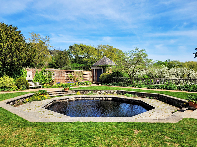 The most exclusive infinity pool in town! No reservations needed, just bring your imagination and leave your swimsuit at home.
