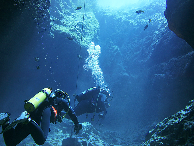 Diving into the deep blue yonder. These underwater adventurers are giving fish-eye views a whole new meaning. Photo credit: Carlyle Slabaugh