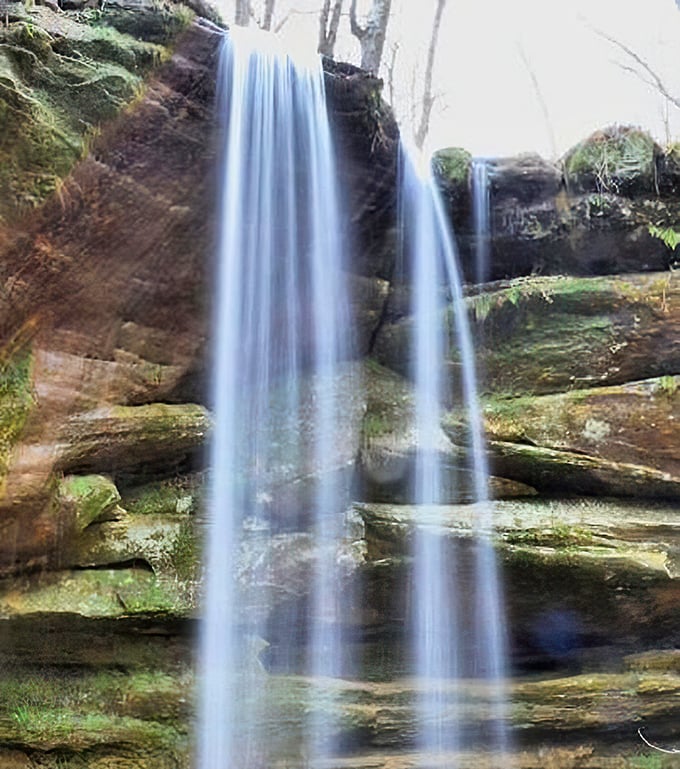 Mohican State Park's crown jewel. A waterfall so majestic, it might just convince you that lions once roamed Ohio. (Spoiler: they didn't.)