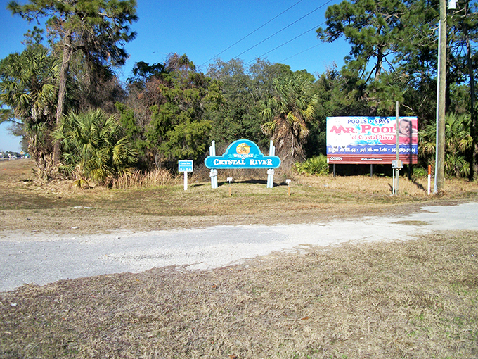 Crystal River: Where manatees are the celebrities. This clear water is more inviting than a VIP pass to the Oscars.