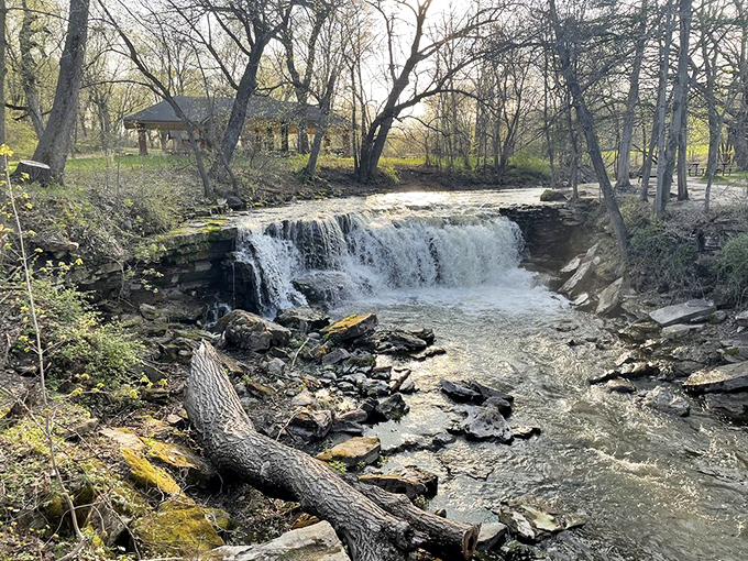 Double the falls, double the fun! Add in roaming bison, and you've got yourself a natural history museum come to life. Photo credit: Lynne C.