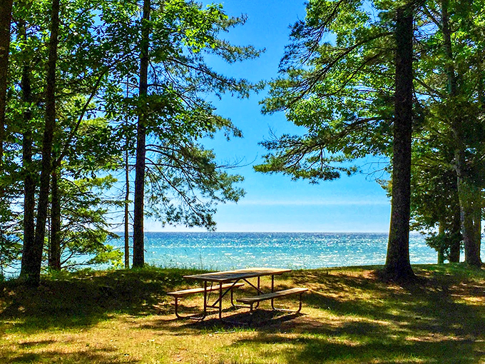 Stargazer's dream or nature's planetarium? Dark skies and Lake Michigan vistas create a celestial show that's out of this world.