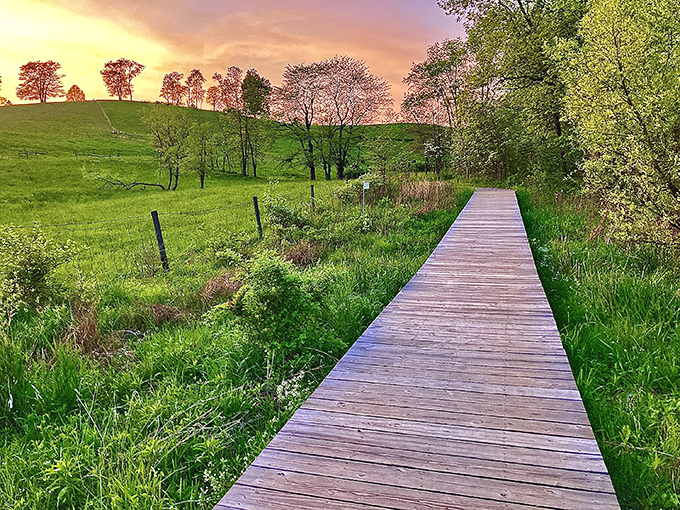 Ohio's natural bridge: proving we can arch with the best of them. Take that, Utah!