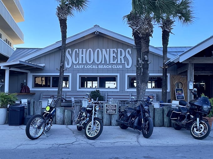 Schooners: Where bikers and beach bums unite over seafood. Panama City Beach's last local stand is a feast for all!