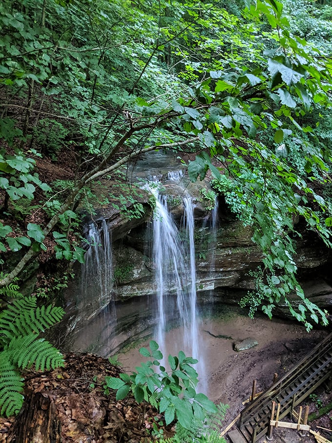 Nature's own shower system. Stand under it if you dare, but don't blame us if you emerge looking like a drowned rat.