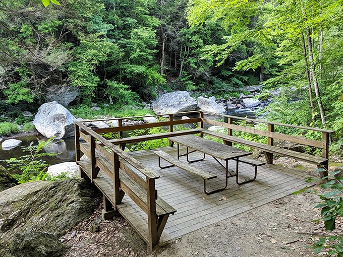 Relax by the West River at this serene picnic spot in Jamaica State Park, surrounded by lush greenery and tranquility.
