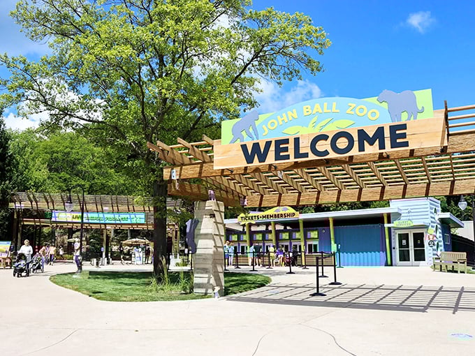 Souvenirs with a roar! John Ball Zoo's colorful storefront is your last stop for memories that'll last longer than a lion's nap.