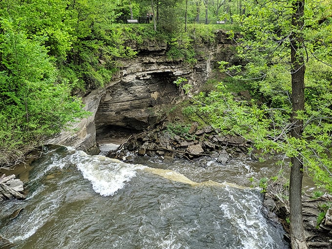 Where the buffalo roam and the waterfalls flow! It's like stepping into a living diorama of pre-settlement Minnesota. Photo credit: Senthil Murugesan