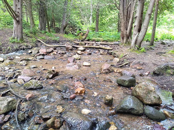 A babbling brook leads you through a wonderland of moss-covered rocks. It's like hiking through nature's own fairy tale.