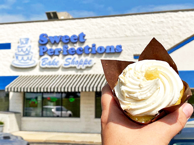 Cupcake dreams and frosting wishes come true here. It's like Picasso decided to work in buttercream instead of paint.