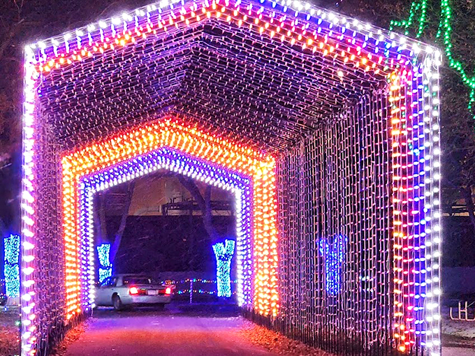 Buckle up for a joyride! This drive-through light tunnel turns your family sedan into Santa's sleigh for one magical moment.
