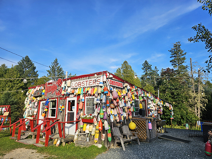 Where buoys go to retire and live their best lives. This shack isn't just decorated, it's celebrating!