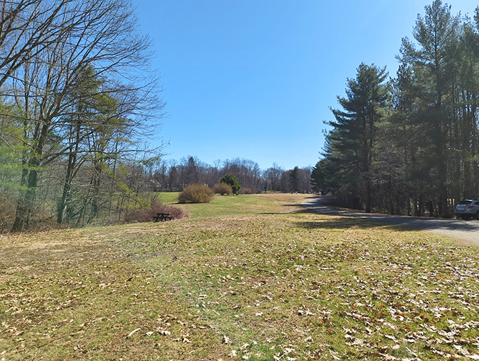 Parking area or portal to paradise? At Vaughan Woods, your adventure begins the moment you turn off the engine.