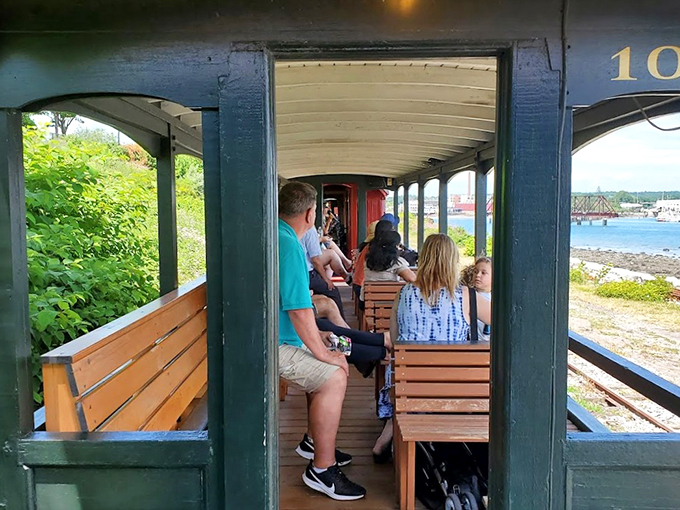 Window seats for everyone! These lucky passengers are getting a front-row view of Maine's coastal beauty, no binoculars required.