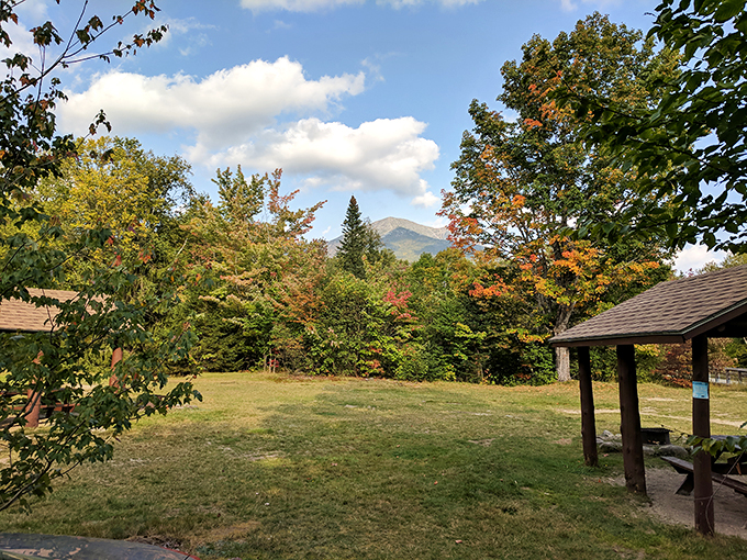 Baxter's welcome mat: Where rustic charm meets million-dollar views. The only 5-star accommodation where "roughing it" is a compliment.