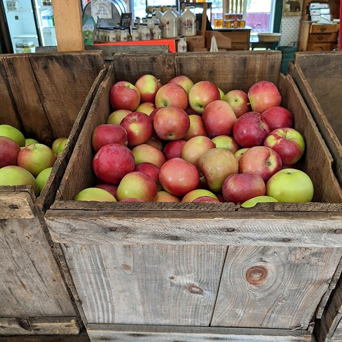 Apples, apples everywhere, and every bite a treat! This wooden crate is like a treasure chest for fruit enthusiasts.