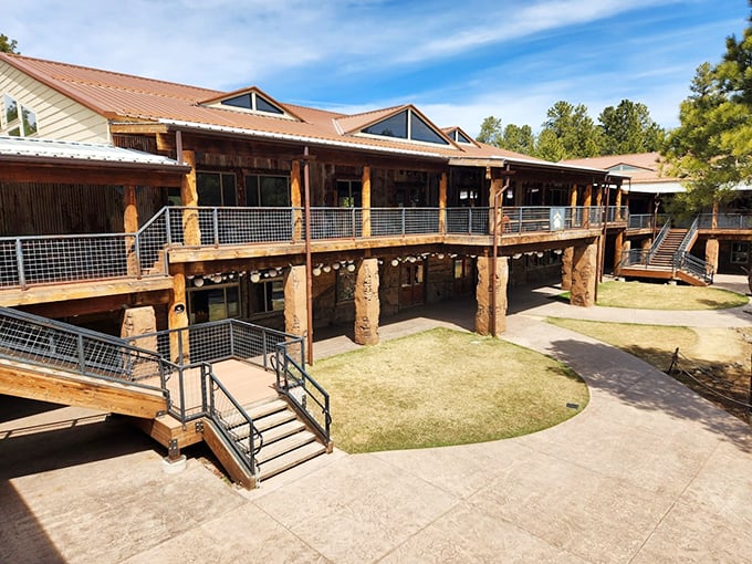 Rustic luxury meets wildlife wonderland. This lodge proves you can rough it in style while surrounded by nature's finest.