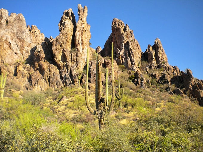 Meet Arizona's welcoming committee! These saguaros have been standing tall and waving hello long before any sign was planted. Photo credit: Esty666