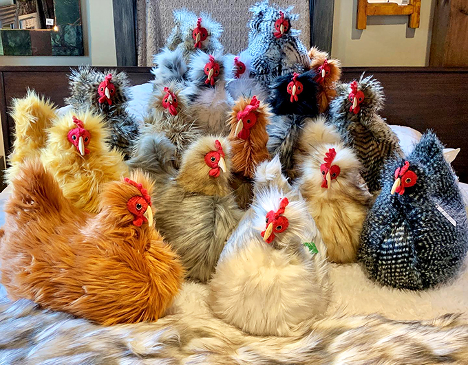 Meet the fluffiest farm you'll ever see! These chicken plushies are so cute, you'll want to build them a coop in your living room.