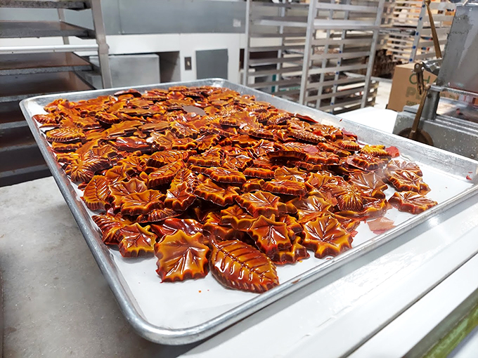Chocolate Tray Leaf it to Angell & Phelps to turn autumn into a chocolate affair! These leaf-shaped treats are almost too pretty to eat. Almost.