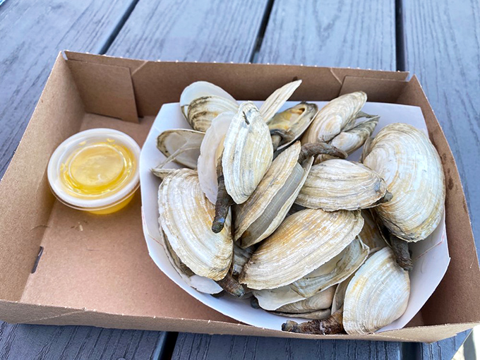 Fresh Maine steamers waiting for their butter bath. Simple pleasures are often the most memorable.