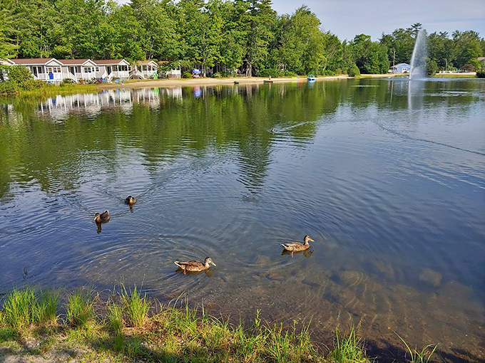 Local residents enjoy their waterfront property, complete with natural fountains and lakeside cottages in the background.