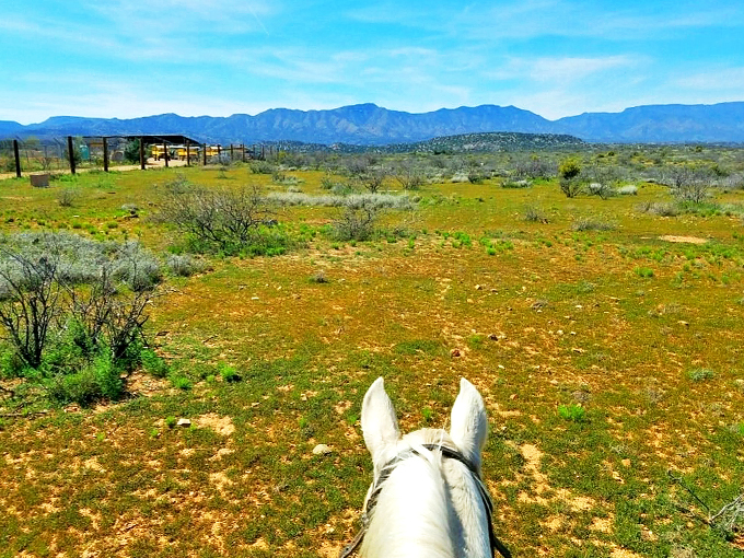 Where desert meets mountain, Camp Verde's landscape offers a horseback rider's dream playground.