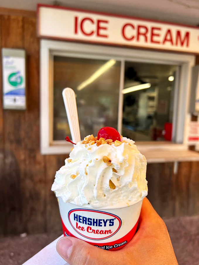 A mountain of soft-serve wearing its toppings like jewelry - Hershey's cup never looked so glamorous.