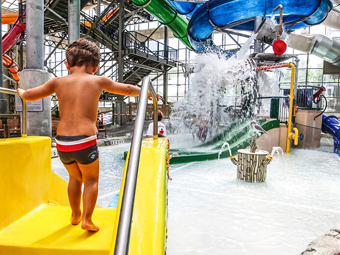 Little adventurers find their own slice of paradise in this specially designed play area with gentle sprays and fun features.