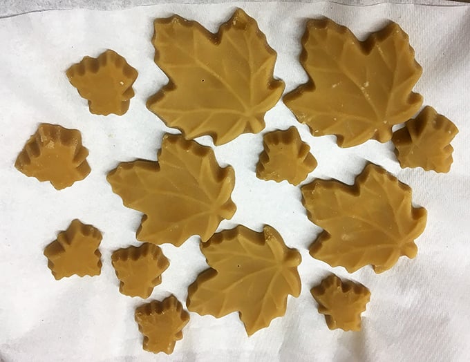 Pure maple transformed into leaf-shaped candies that melt in your mouth faster than snow in springtime.