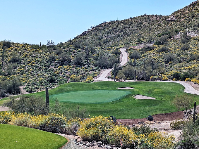 A rollercoaster for golf balls. This undulating green surrounded by desert flora is where putts go to test their mettle.