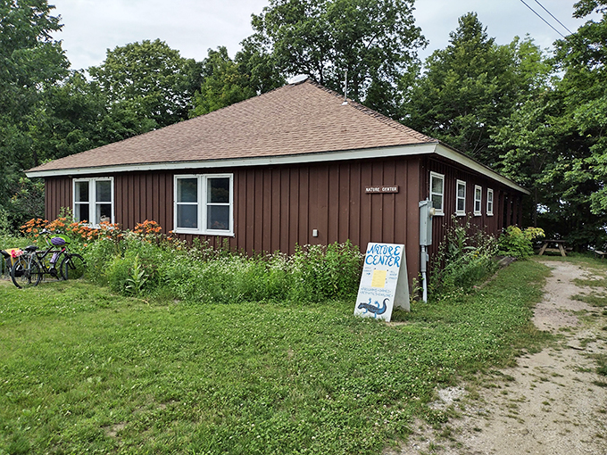 Curiosity's home base: This charming nature center is where wild questions meet even wilder answers about local flora and fauna.