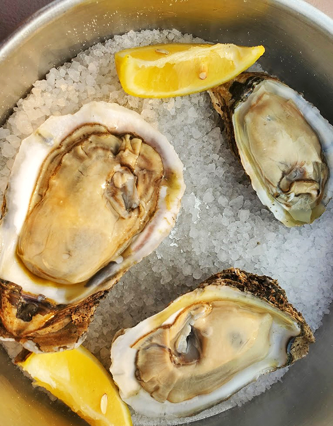 Fresh oysters nestled in ice, waiting to share their briny stories with lucky diners.