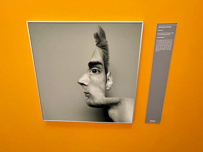 Reality? We don't know her. These mind-bending photos prove that in the world of illusions, seeing isn't always believing &ndash; but it's always fun!