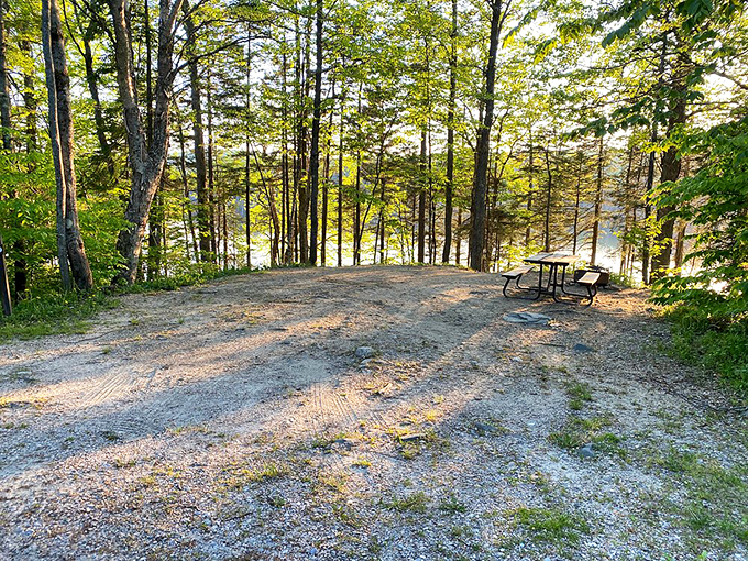 A perfect campsite perch with lake views - it's like having waterfront property without the property tax headaches.