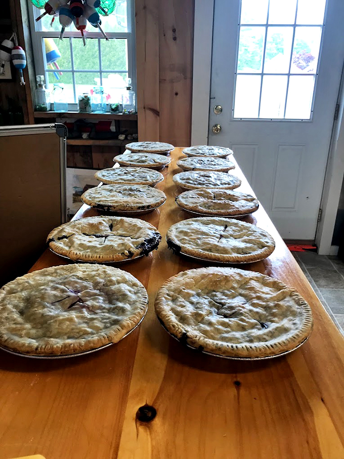 Pie paradise: a lineup of fresh-baked beauties that would make your grandmother proud (and slightly competitive). Photo credit: The Happy Clam Shack