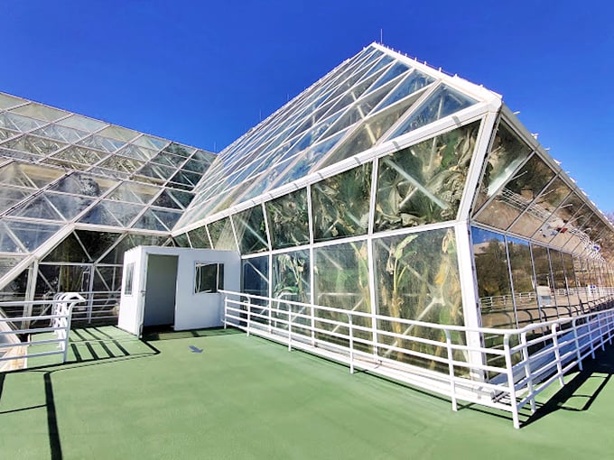 The sleek glass and steel structure houses vital systems that keep this artificial world running smoothly