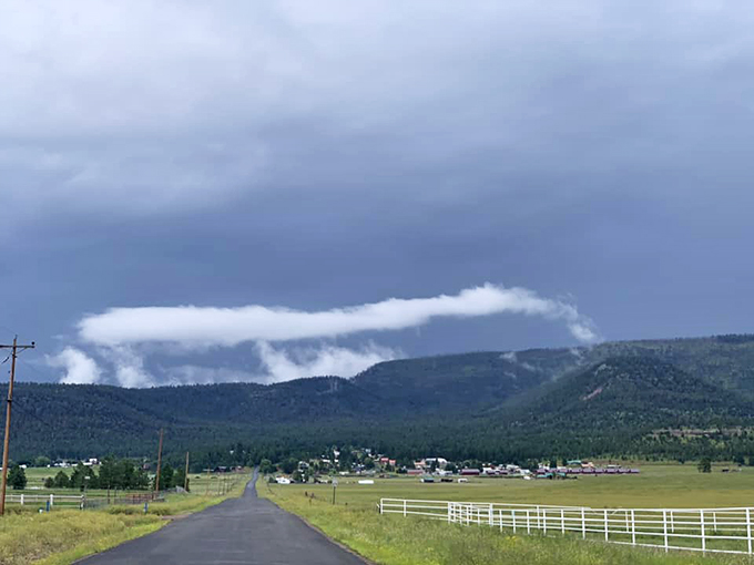 The road to serenity: Alpine's winding roads lead to hidden valleys and misty mountains, each turn a new chapter in your adventure.