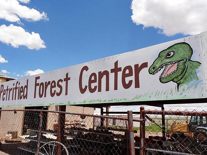 Jurassic Park meets gift shop central. The Petrified Forest Center is where prehistory and present-day tourism collide in the best way possible. Photo credit: photograher