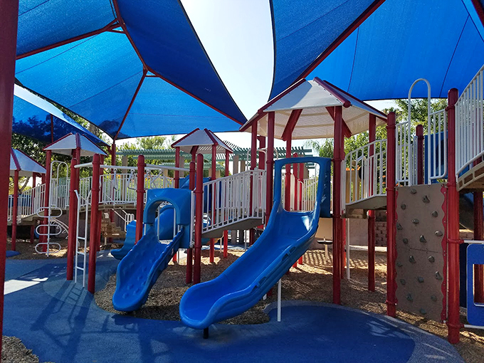 Gravity's more fun when you're sitting on a plastic board! These slides are like time machines, transporting adults back to their playground days. Photo credit: Emily Ivie