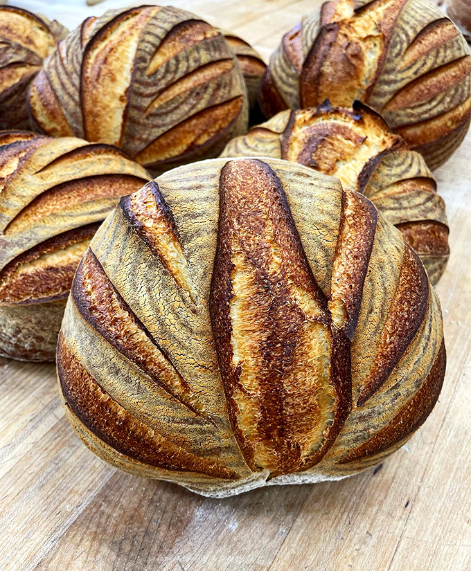 Artisanal sourdough loaves scored with precision that would make a geometry teacher proud.