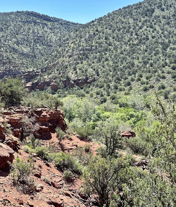 Desert meets mountain in this stunning panorama, where every shade of green complements the ruddy cliffs. 