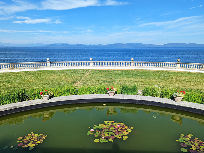 Lake views that'll make your jaw drop! It's like Mother Nature decided to show off and frame her best work.