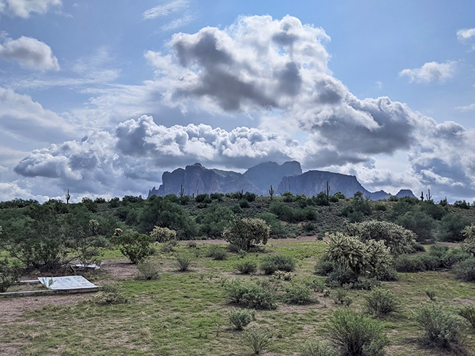 The rugged Superstition Mountains loom large over the desert landscape, their mysteries still captivating visitors today.