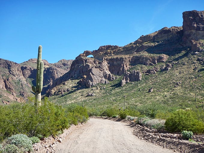 Behold, the road less traveled &ndash; and for good reason. It's where "off the beaten path" meets "are we sure this is the right way?" But trust me, the views are worth it. Photo credit: @WC-Travelers-75