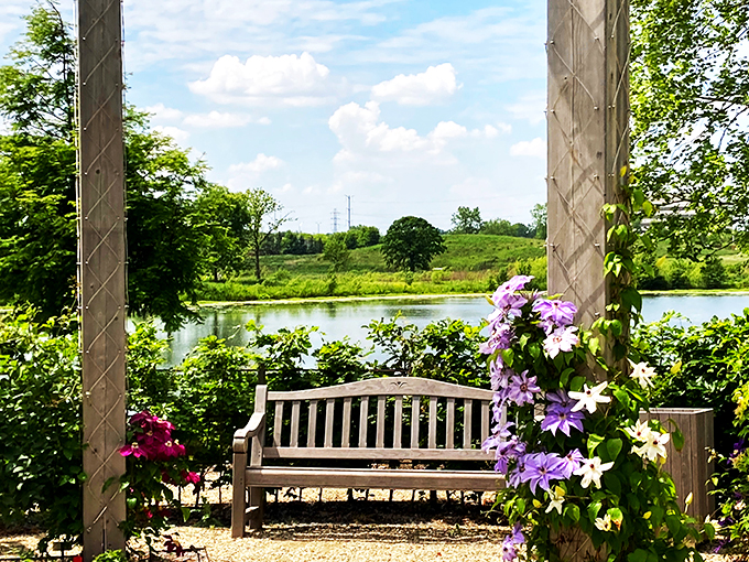 The VIP lounge of the garden world. This bench has a view that beats any five-star hotel – and the mini-bar is all-natural!
