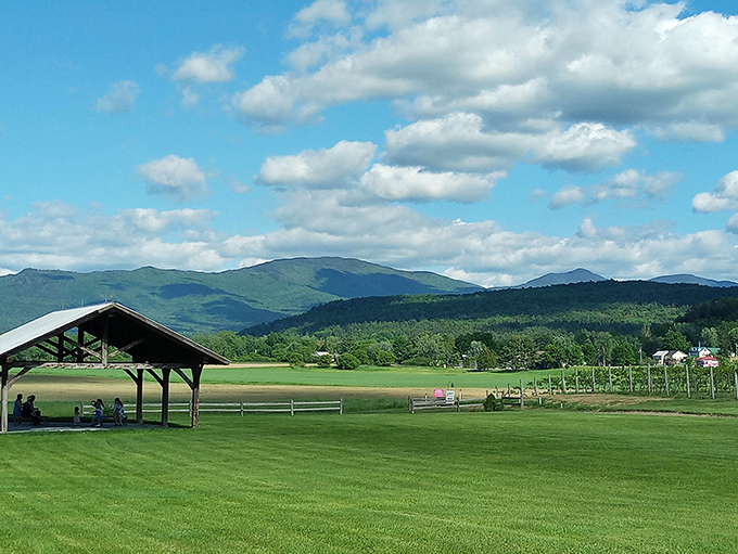 Who needs emerald slippers when you've got the Green Mountains? This view is pure magic&mdash;no ruby-red wine glasses required (but highly recommended).